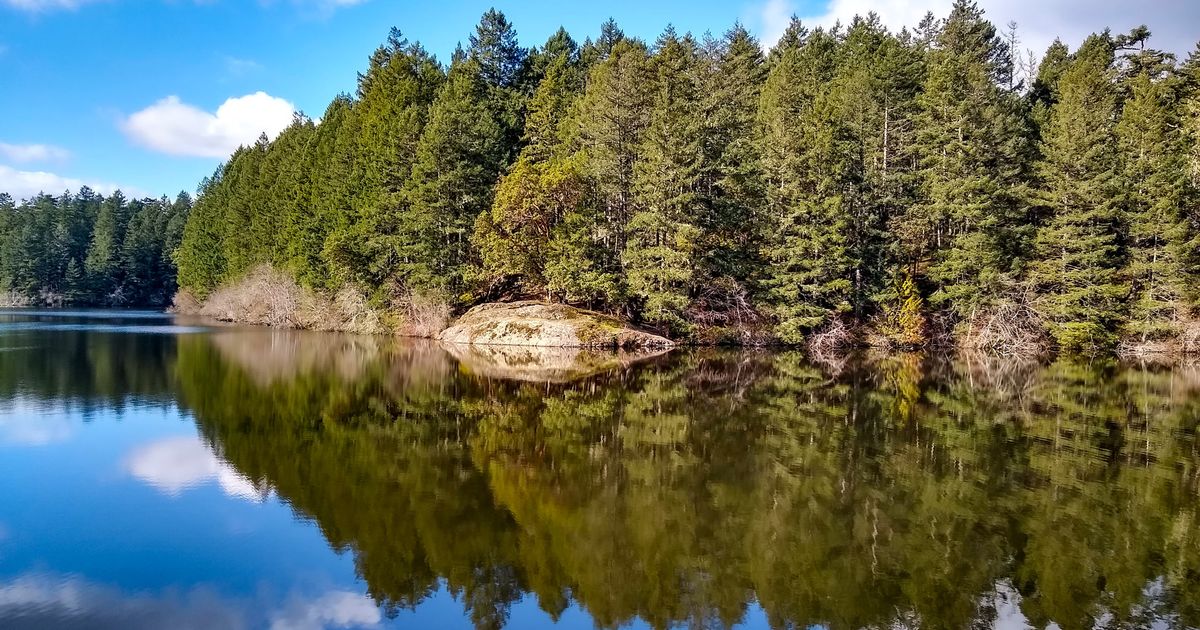 Prior and Thetis Lake Loop Hike | Thetis Lake Regional Park