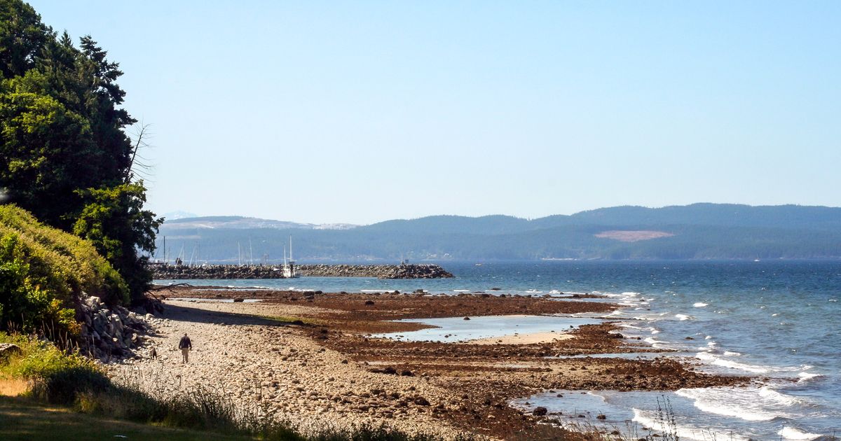 Willingdon Beach Trail | Family Hiking | Powell River, BC
