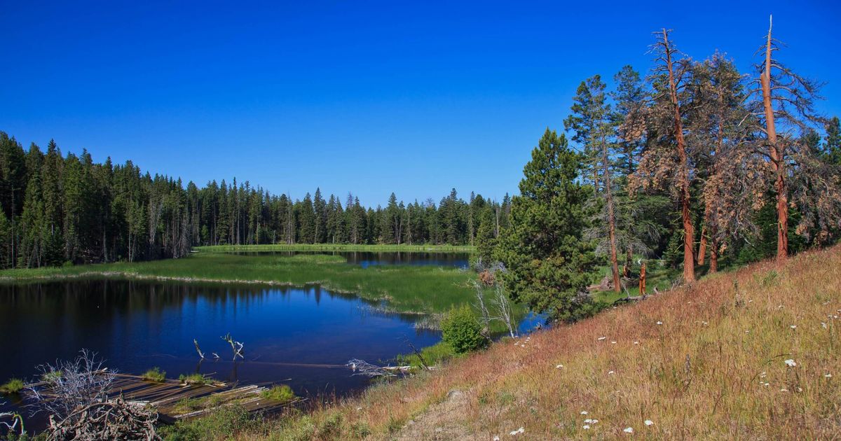 Lundbom Lake Loop | Beautifully Scenic Grassland Trail
