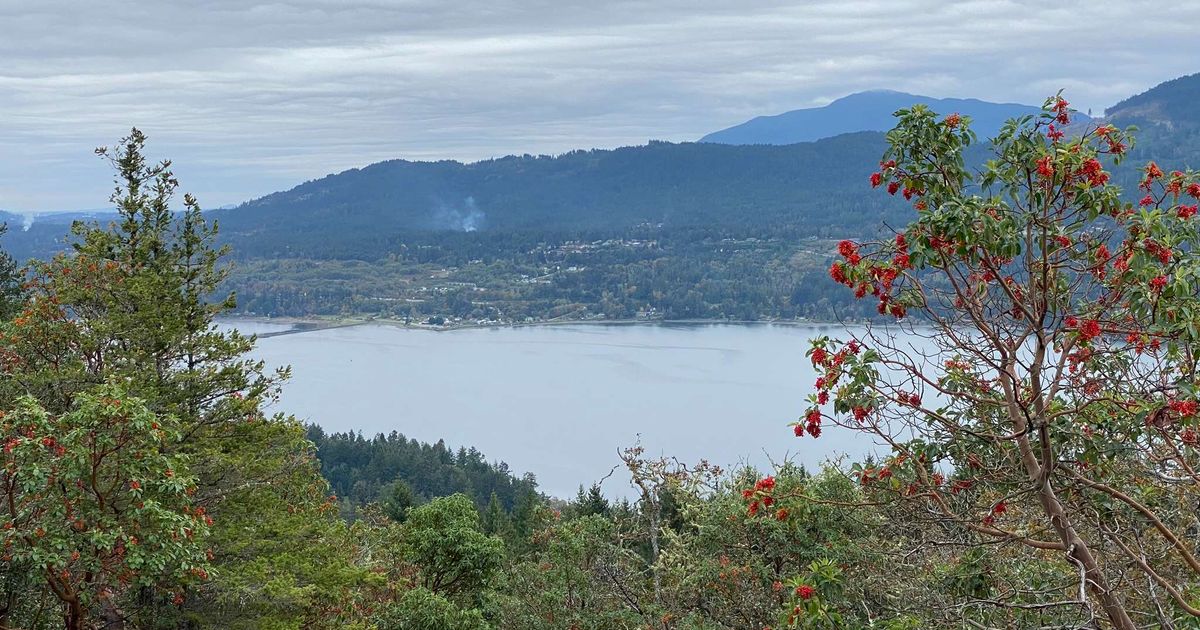 Notch Hill Loop Trail | Impressive Views of Nanoose Harbour