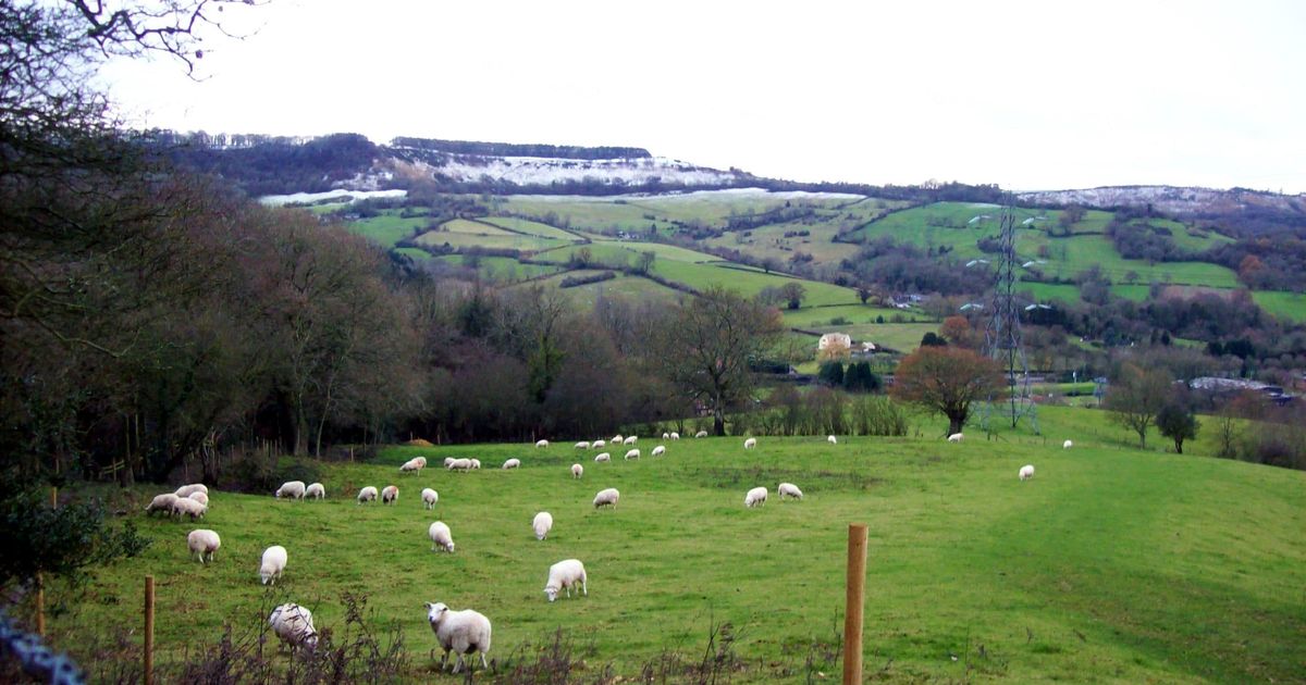 Cleeve Common and Belas Knap Walk, The Cotswolds | 10A