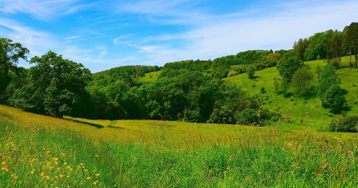 Sapperton Valley Circular – A Lovely Walk in the Cotswolds