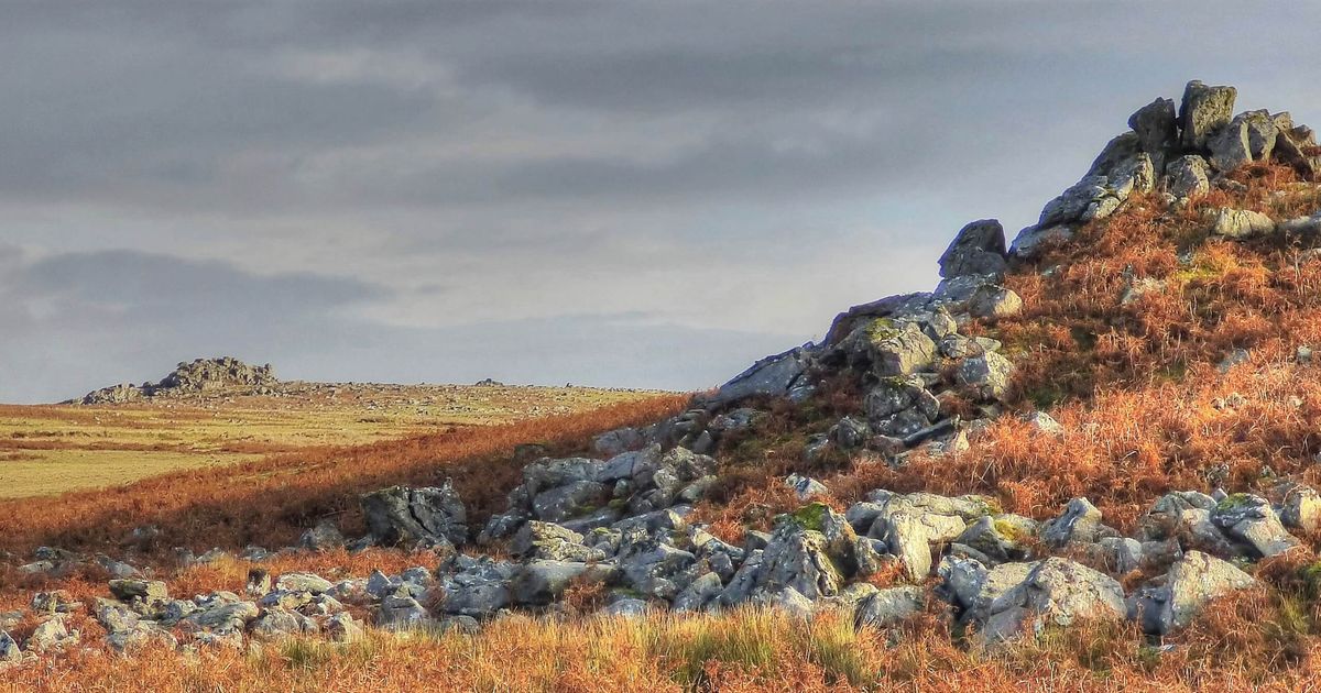Cadover Bridge to Shaugh Bridge Circular Walk - Dartmoor NP