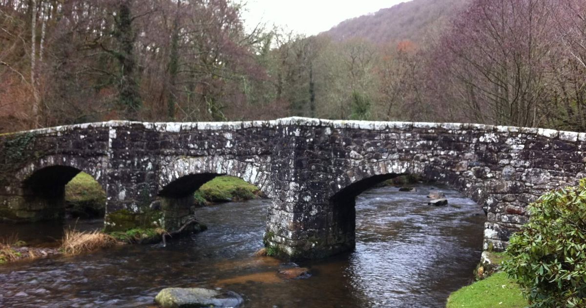 Fisherman’s Path to Fingle Bridge - Historic Walk in Devon