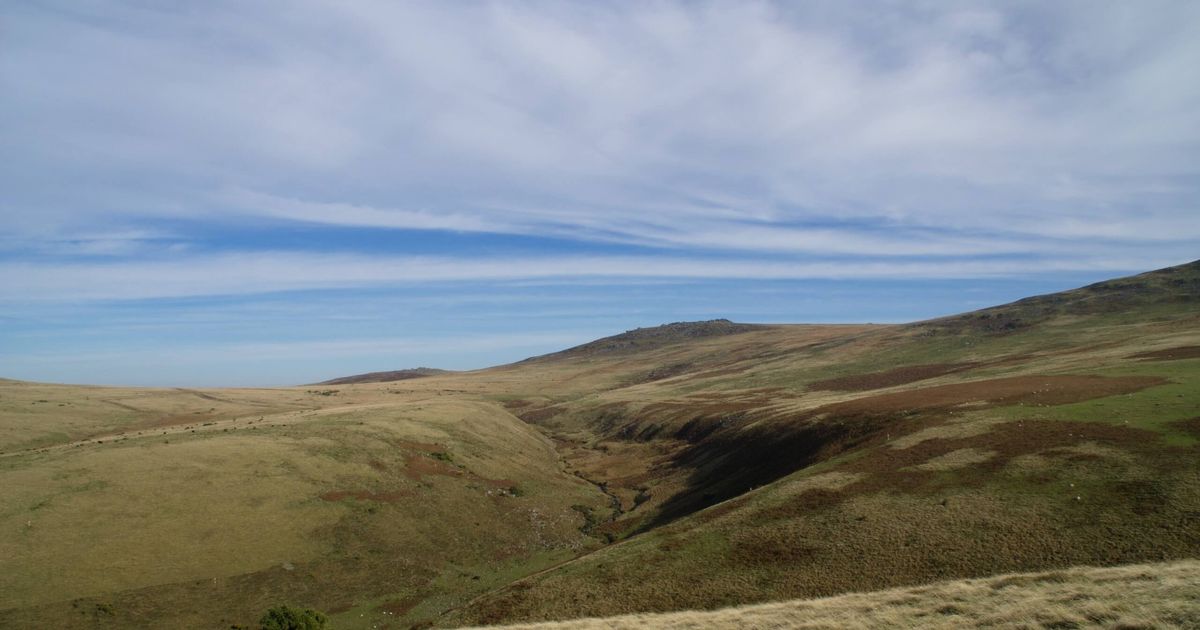 High Willhayes and Yes Tor Circular Walk
