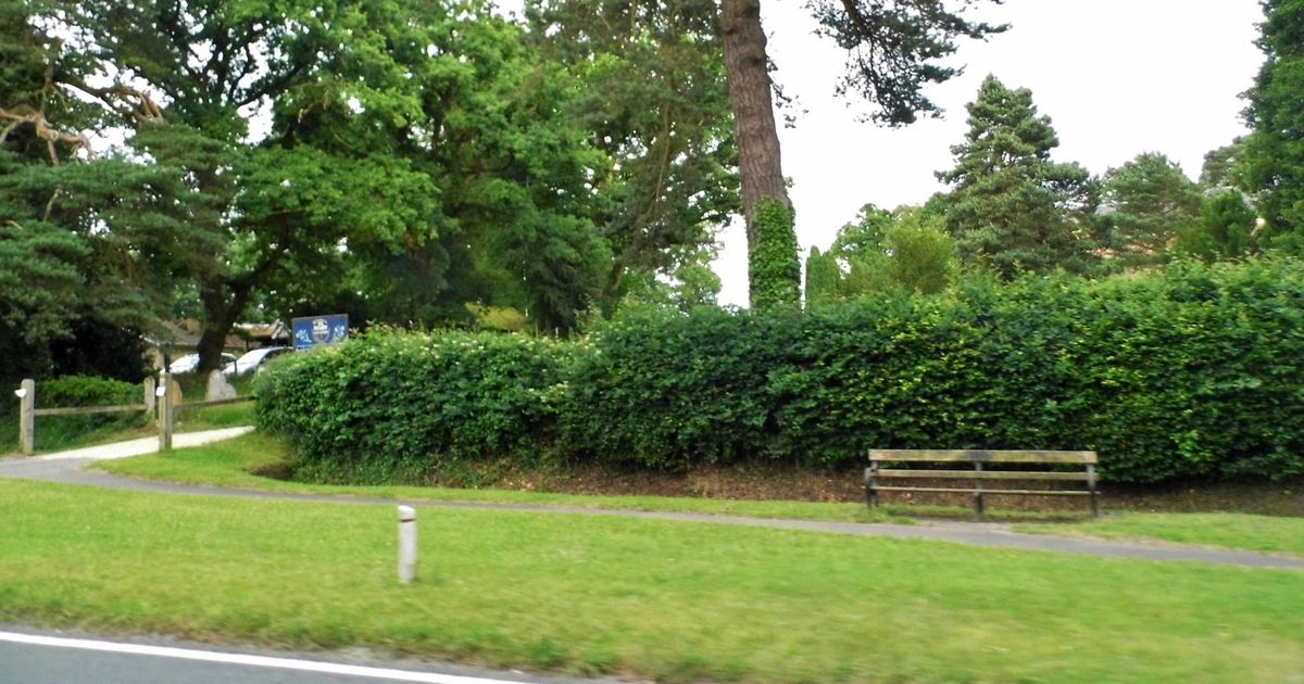 Copythorne and Cadnam Common Walk in New Forest National Park