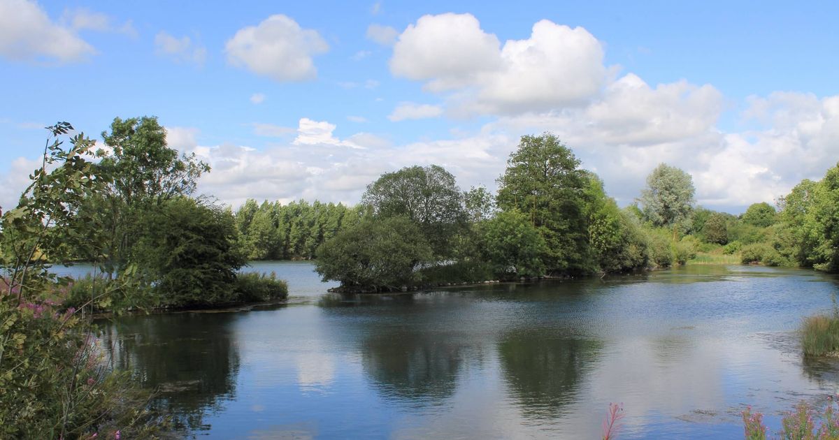 Marfield Nature Reserve Walk - Bird Watch in Nidderdale