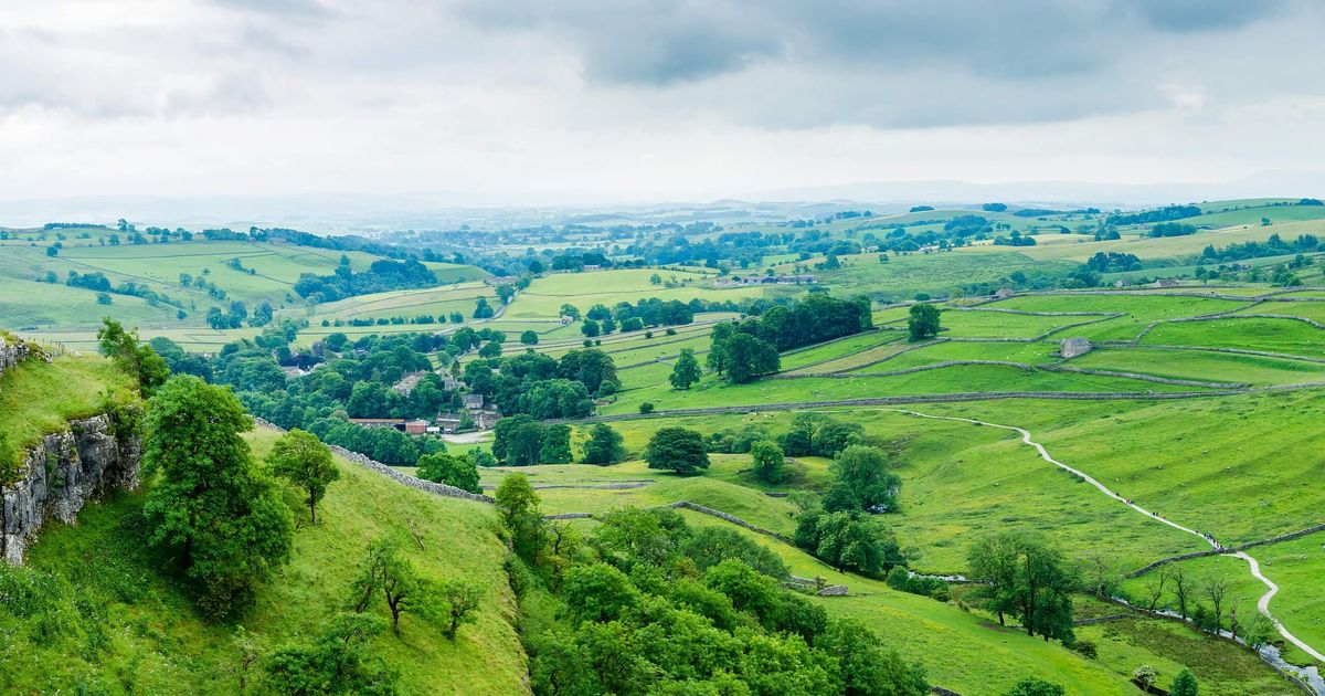 Newfield Hall to Malham Cove Walk | Yorkshire Dales NP, UK
