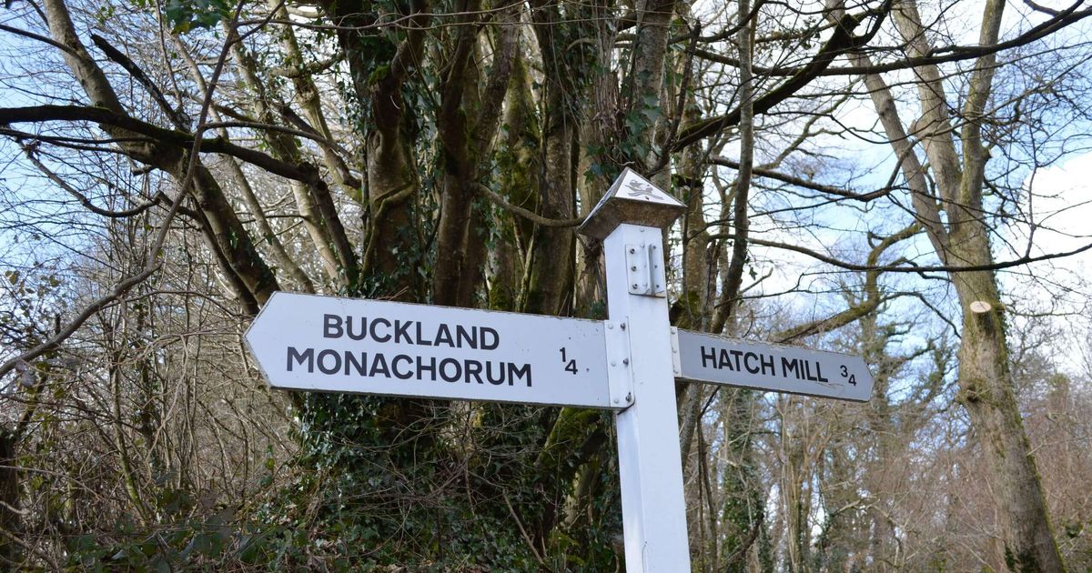 Buckland Monachorum Garden House Walk