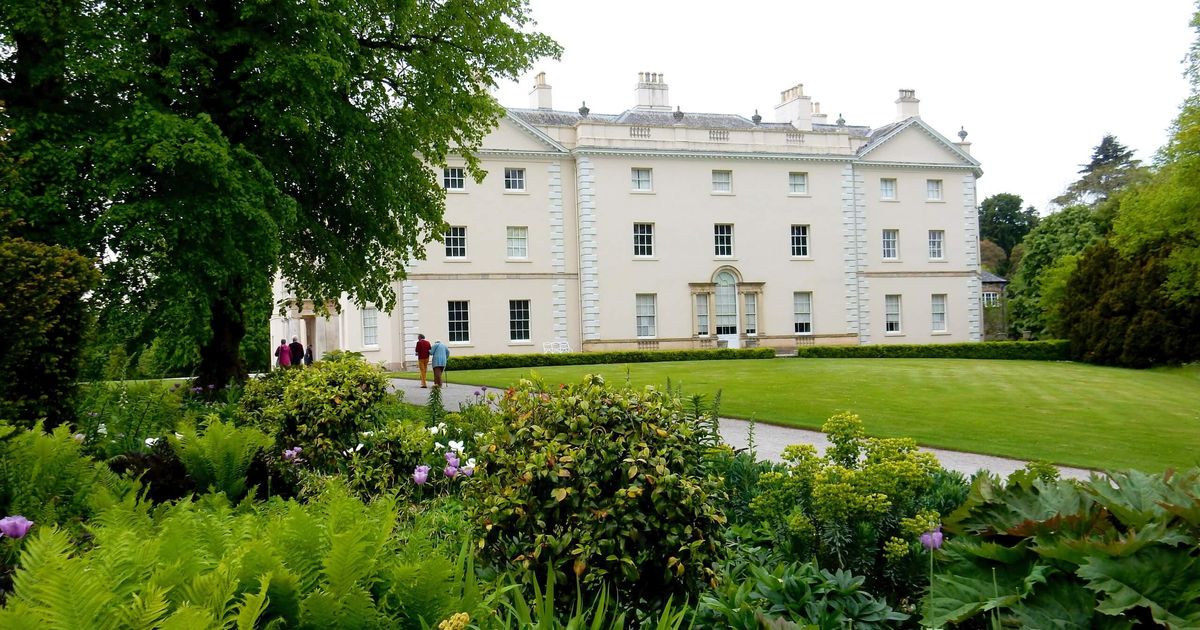 Saltram House Woodland and Riverside Circular Walk | UK