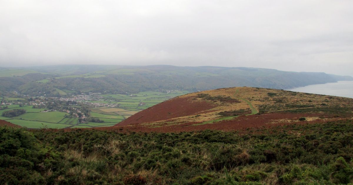 Hurlstone Point and Selworthy Beacon Walk - 10Adventures