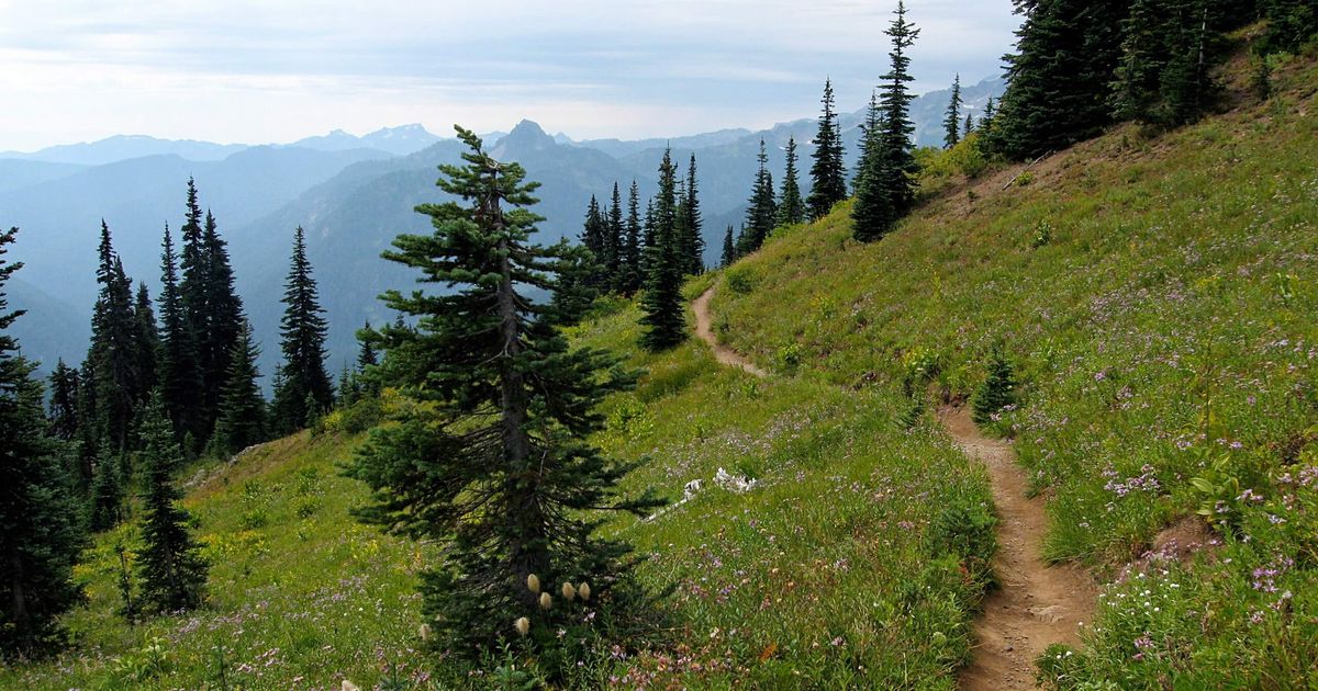 Guide to Naches Peak Loop Hike, Mt. Rainier National Park