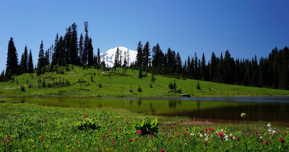 Tipsoo Lake Trail - A Family Favourite near Mount Rainier