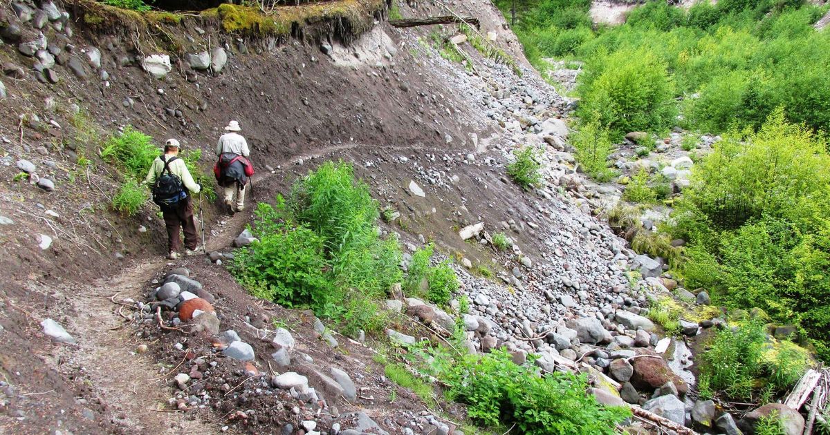 Hiking the Kautz Creek Trail to Longmire, Mount Rainier
