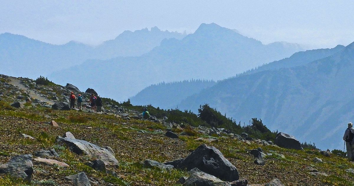 Sunrise Rim Trail | 5-Mile Beautiful Hike Near Mount Rainier
