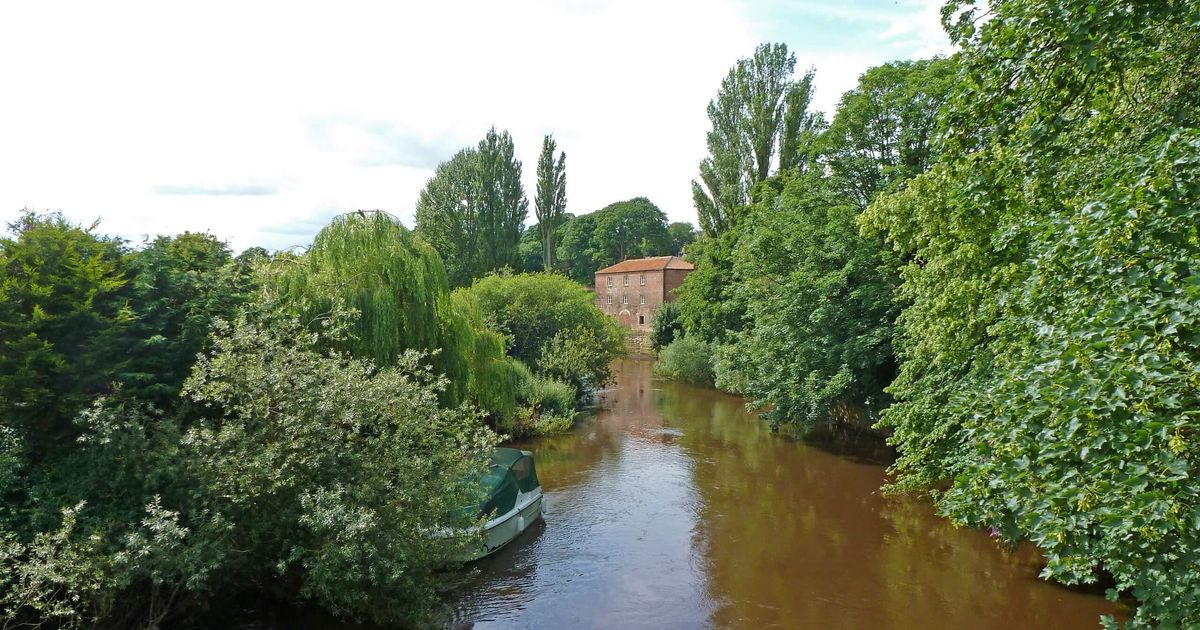 Appleton le Street to Malton Walk | Howardian Hills AONB | 10Adventures