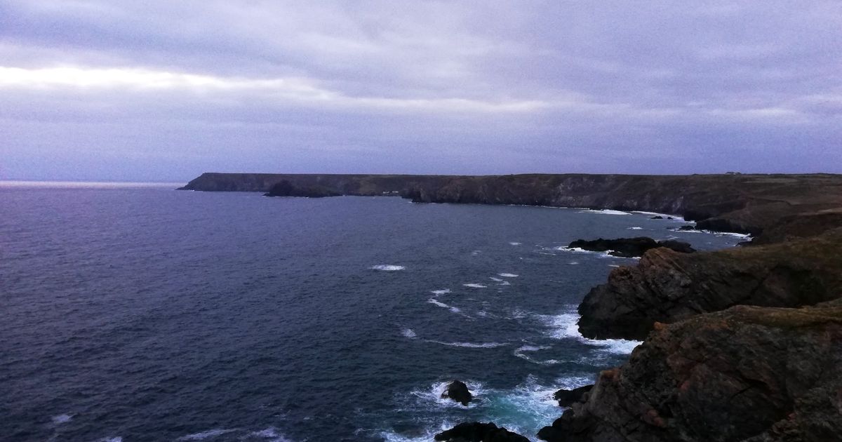 Lizard Point Loop | Explore a Lizardless Walking Trail
