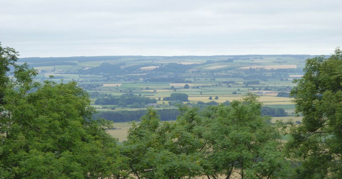 Pickering Woods Walk - North York Moors National Park, UK