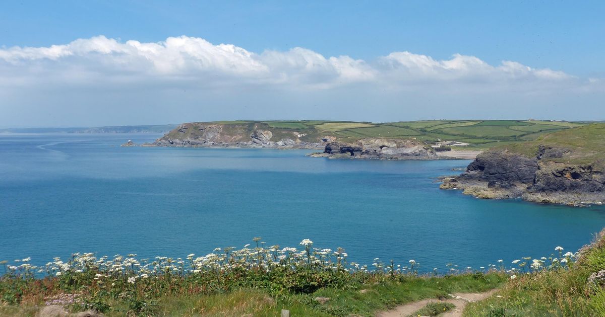 South West Coast Path: Poldhu Cove to Kuggar - Cornwall, UK