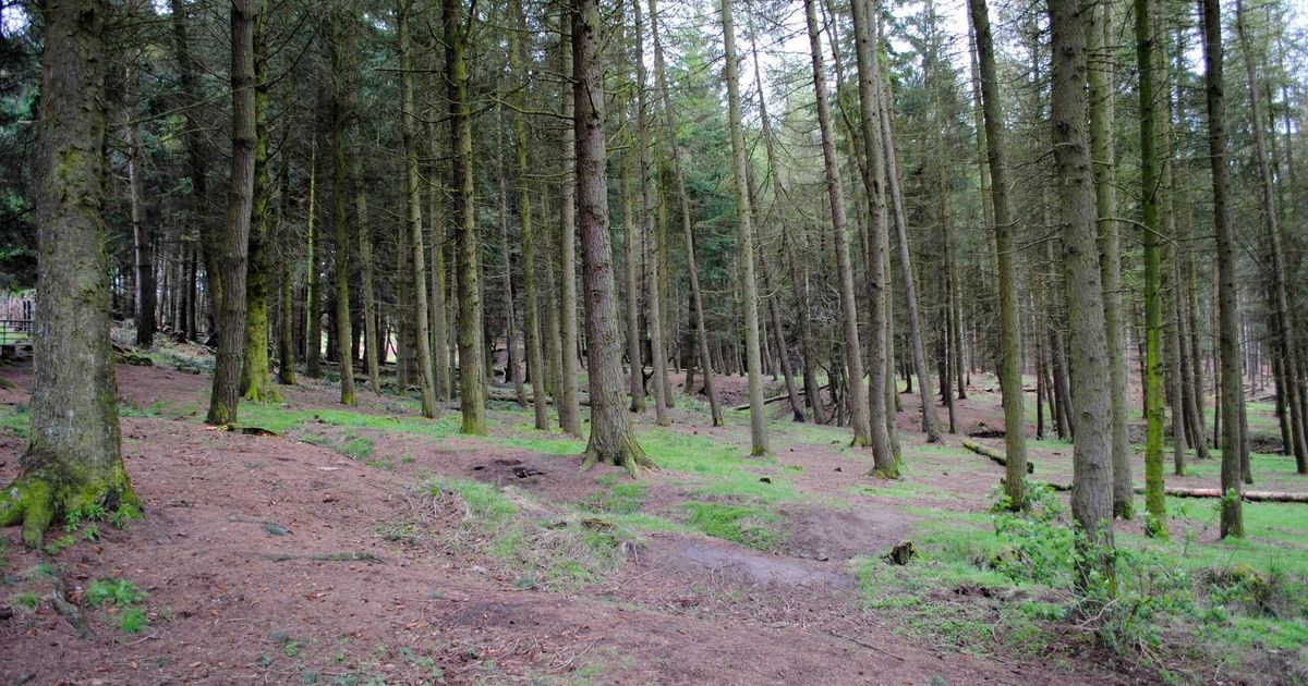 Cod Beck to Thimbleby Walk | Explore the North York Moors | 10Adventures