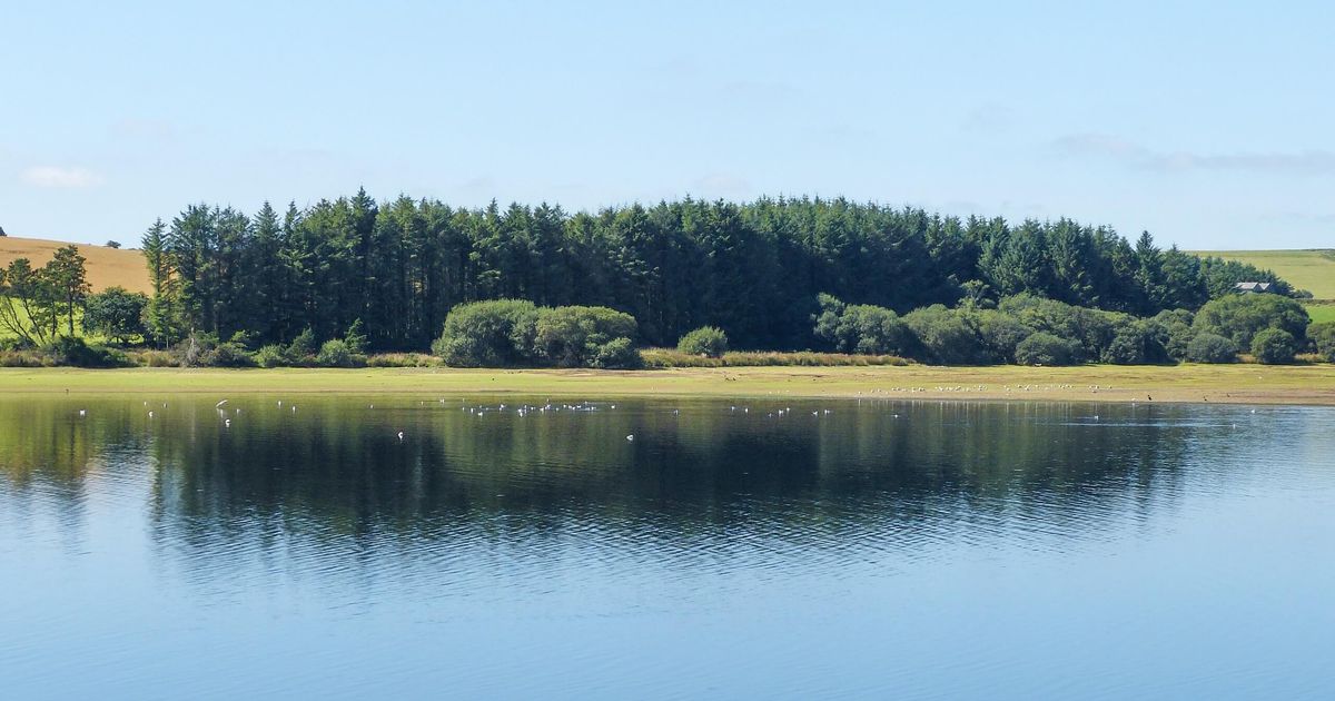 Siblyback Lake Trail | Walk the Shores of a Charming Lake