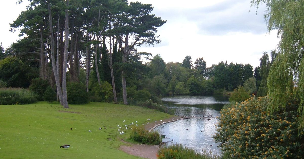 Castle Espie Wildlife Wander | A Family-Friendly Adventure