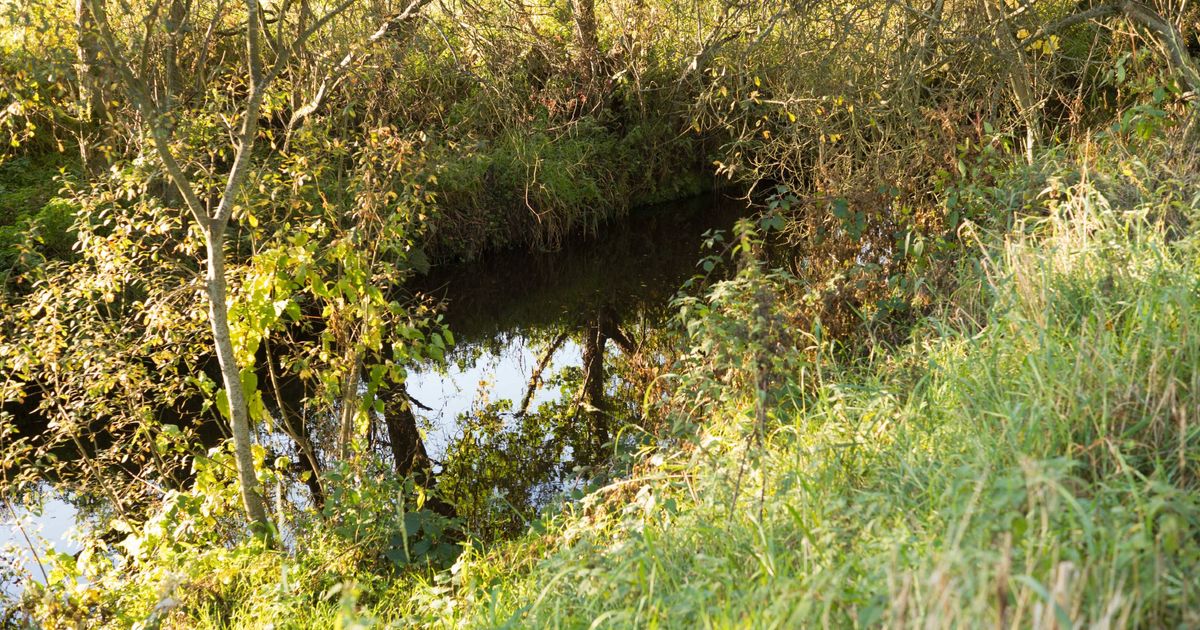 Coalisland Canal Walk | A Charming Waterside Adventure