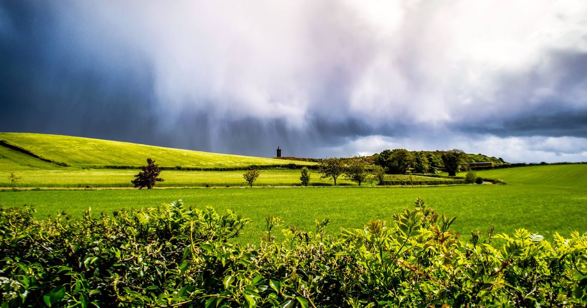 Scrabo Hill via Killynether Wood Walk | Nice Hilltop Views