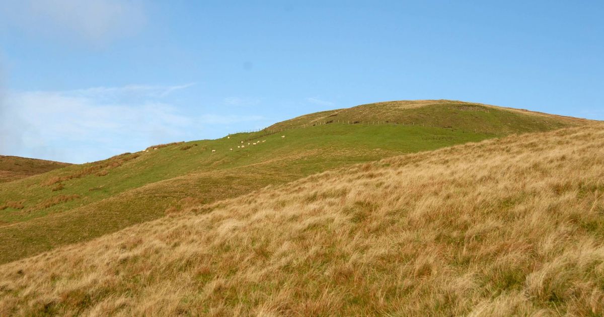 Slieve Gallion Walk | Stunning Views Over Northern Ireland