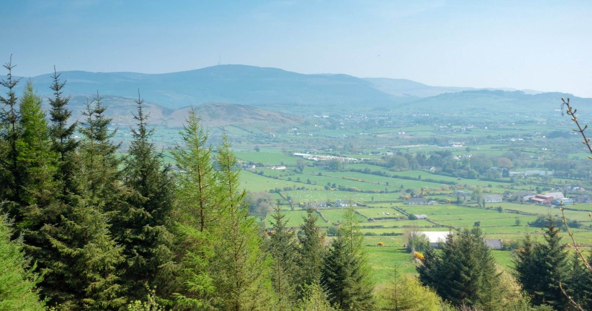 Slieve Gullion Circular Walk | Ring of Gullion AONB