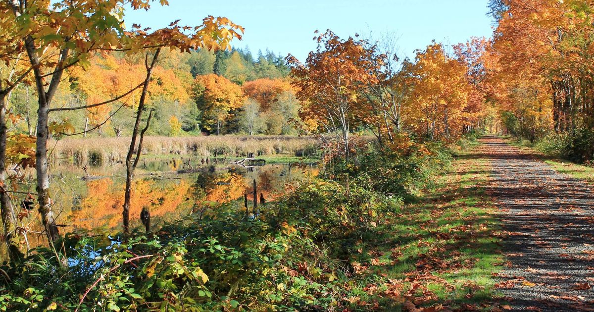 Take a Walk on the Snoqualmie Valley Trail, Washington