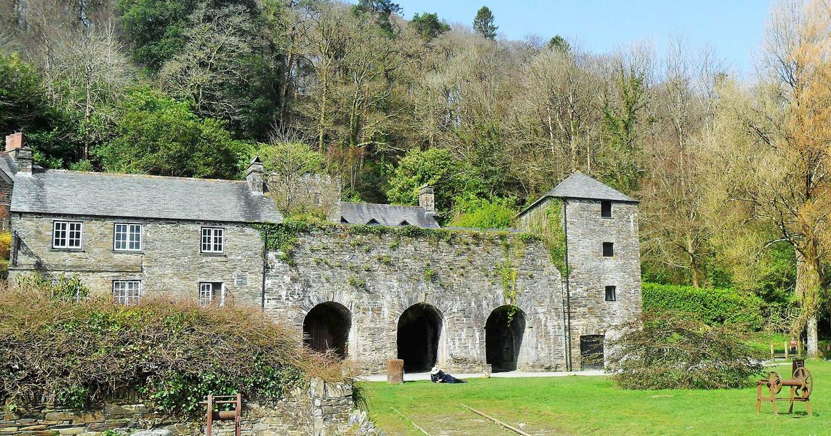 Cotehele and Metherell Circular Walk | Walk the River Tamar