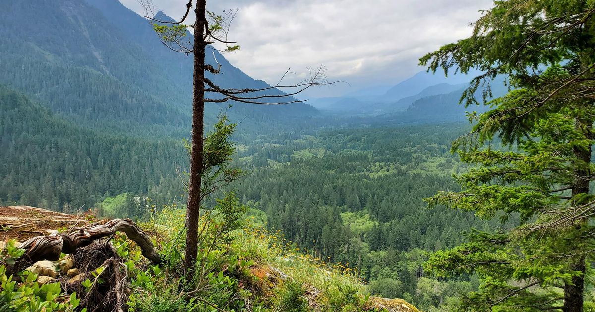Garfield Ledges | A Short, Scenic Hike Close to Seattle | 10Adventures
