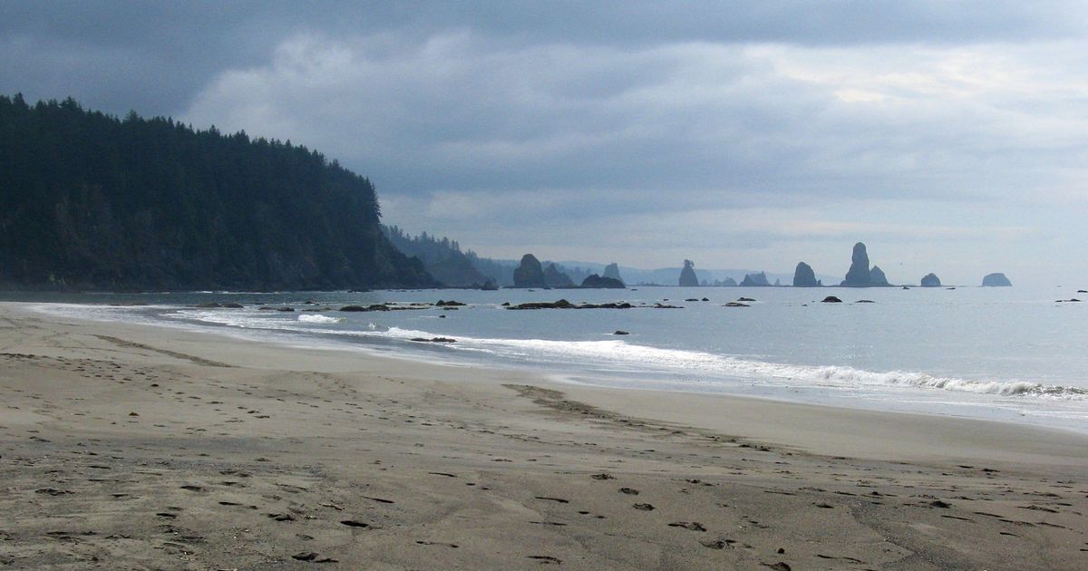 Hiking Third Beach to the Hoh River, an Epic Adventure