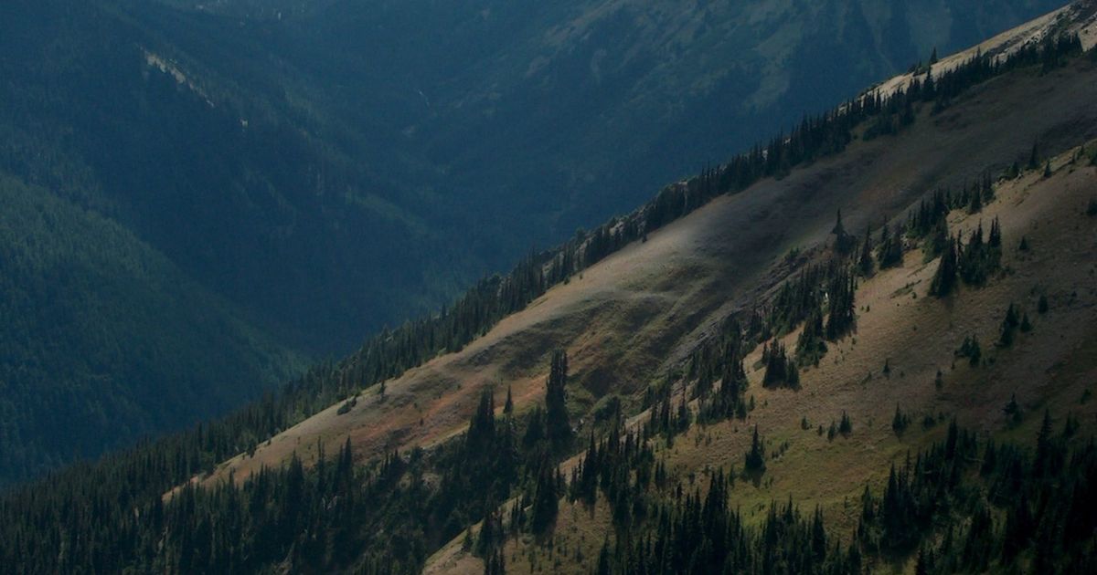 Maiden Peak from Deer Park Campground Hike - 11.3km