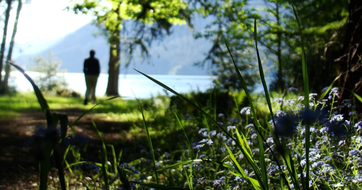 Moments in Time Trail | Short Walk in Olympic National Park