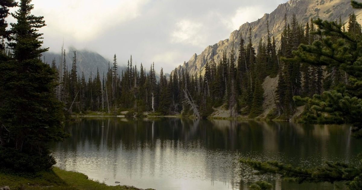 Royal Basin and Royal Lake Hike - 25km in Olympic NP