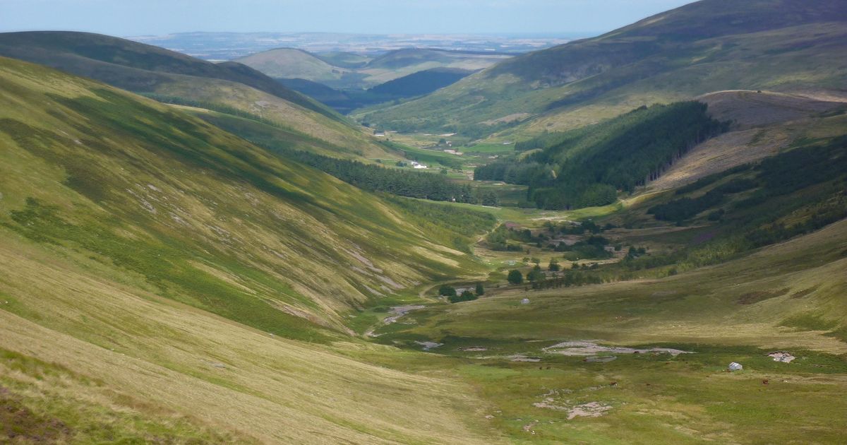 College Valley Walk | Wildlife Adventure in Northumberland