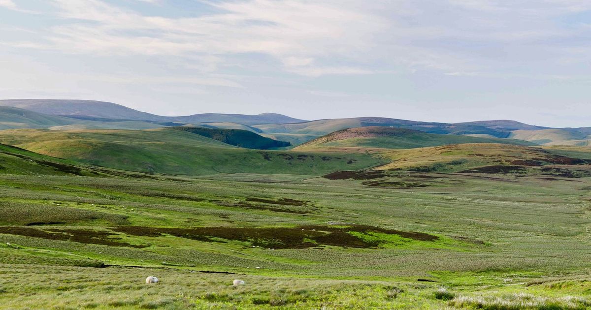 : Otterburn Ranges to Buchtrig Walk - Scenic Border Adventure