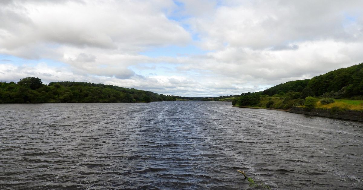 River Wansbeck Walk | A Pleasant Riverside Adventure
