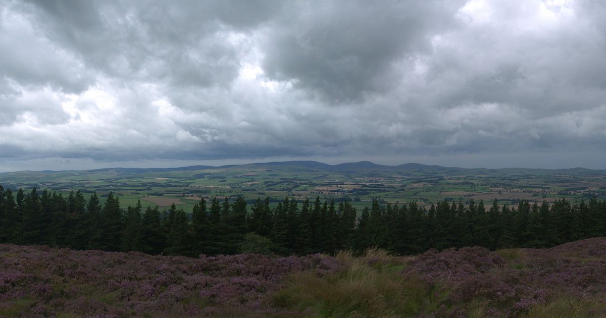 Simonside Hills Circular Walk | A Nature and History Walk