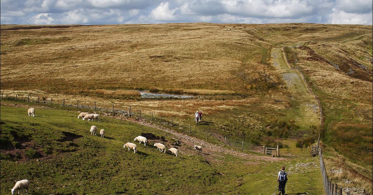 Fan Frynych Ridge Circular Walk | Epic Views of Pen-y-Fan