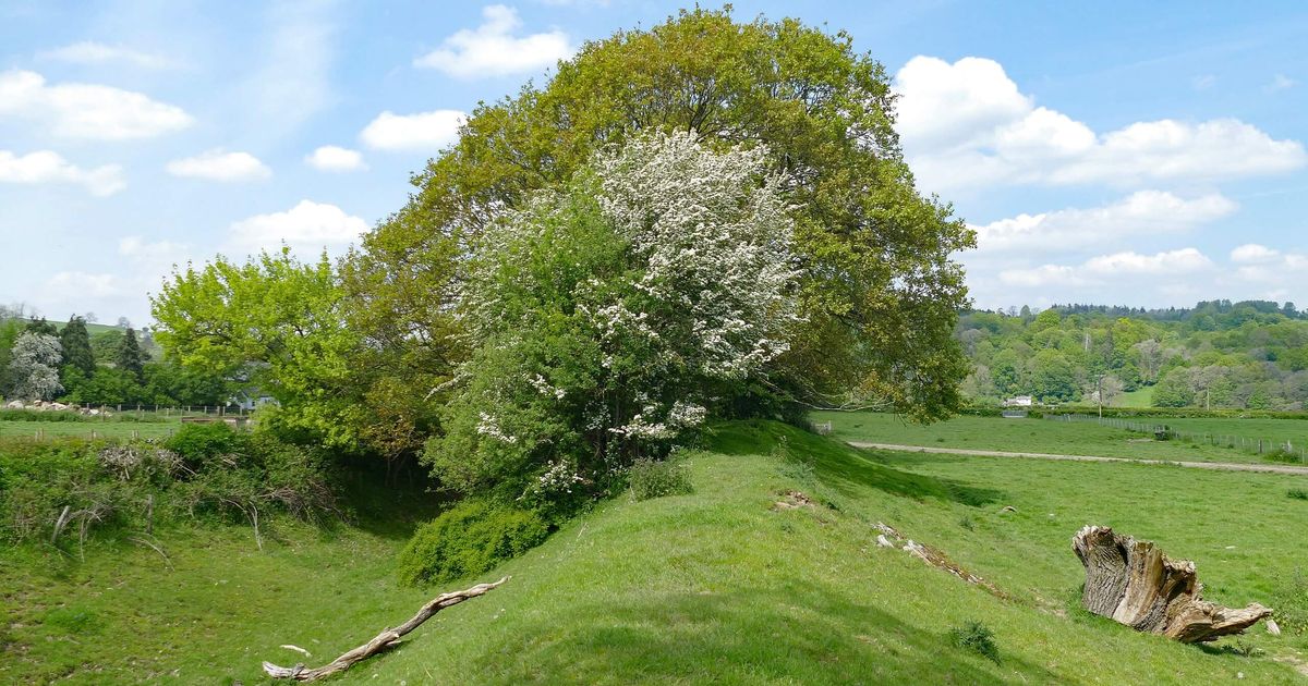 Offa’s Dyke Circular Walk | Walk the England/Wales Border