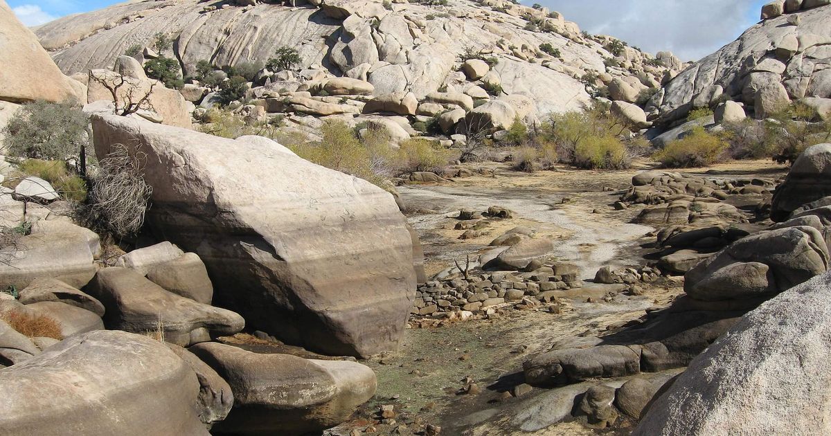 Barker Dam Nature Trail, Joshua Tree - 10Adventures