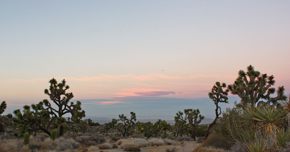 A Guide to Black Rock Canyon Trail - 10Adventures