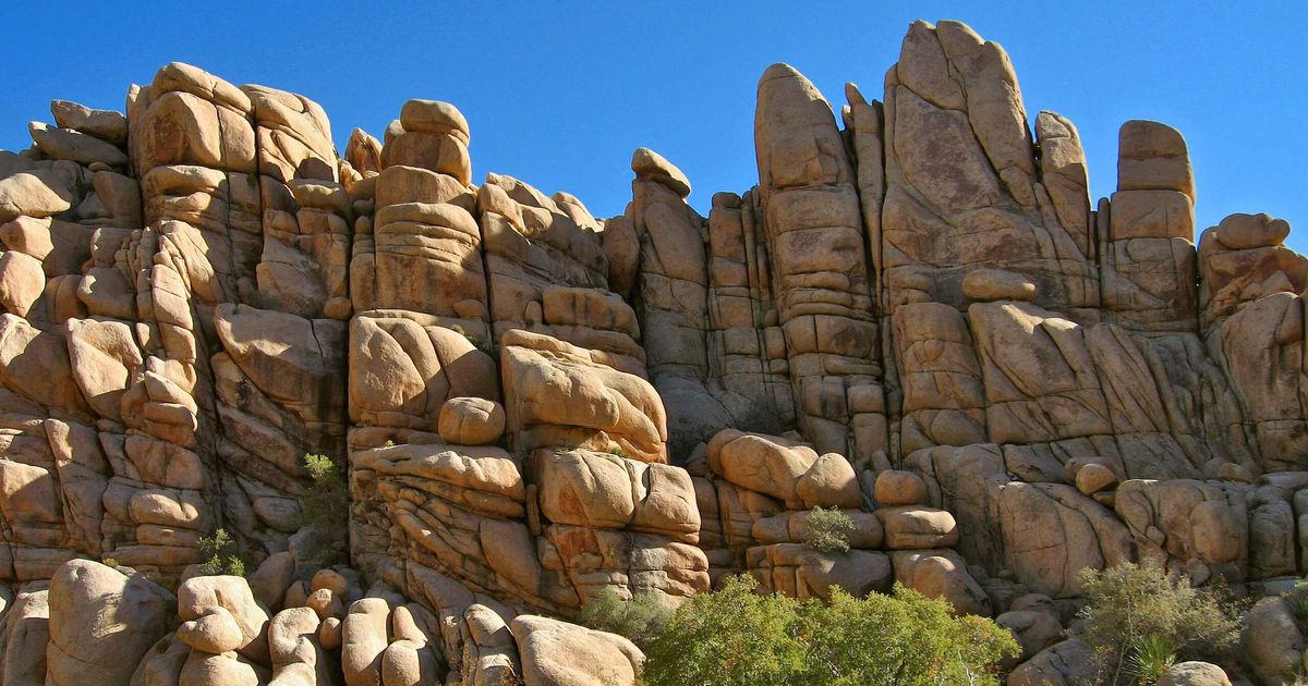 A Guide To Stunning WIllow Hole Trail - Joshua Tree, CA