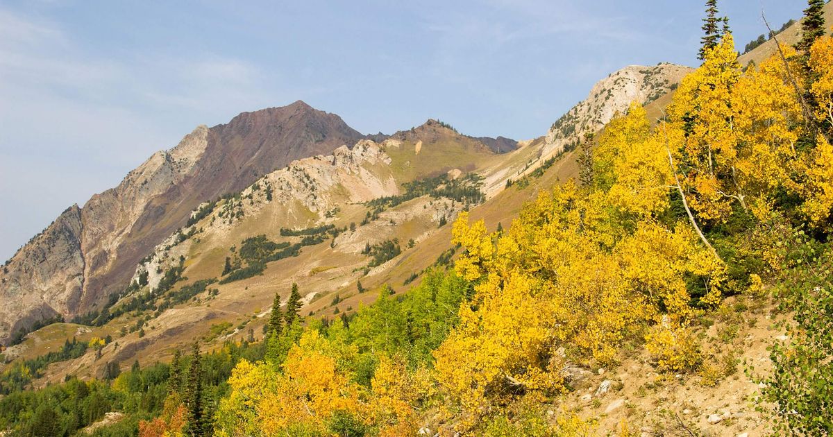 Grizzly Gulch Trail | Arapaho National Forest, Colorado