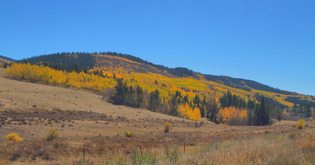 Kenosha Pass to Georgia Pass via the Colorado Trail