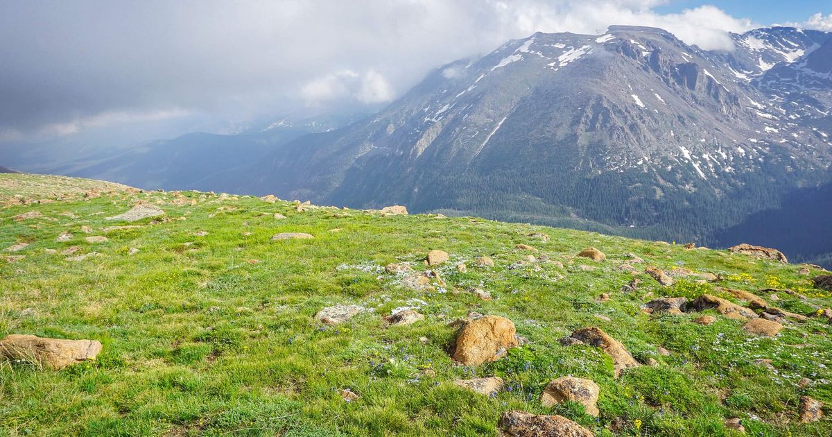 Round Mountain Nature Trail | A Family-Friendly Adventure | 10Adventures