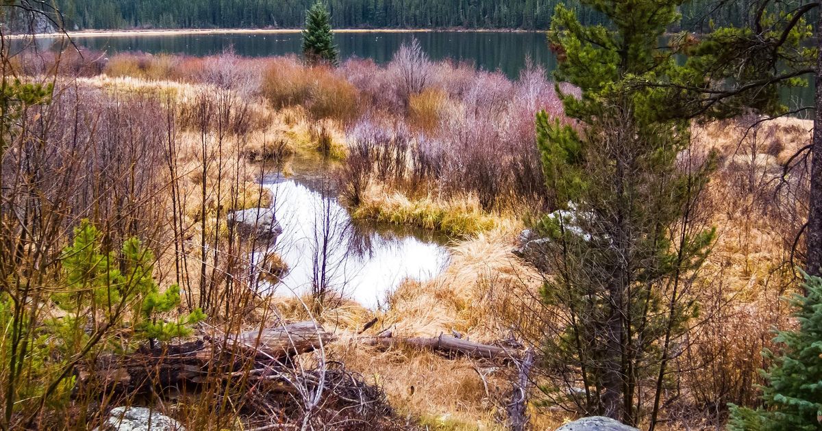 A Guide to Monarch Lake, Colorado -Trail Report and GPS